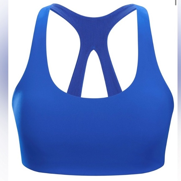 Arc'teryx | Intimates & Sleepwear | Arcteryx Essent Bra 8 | Poshmark